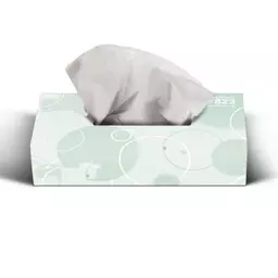 Soclean Facial Tissues 2ply 36 x 100 Pack