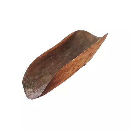 Aboriginal Coolamon | Starbeck Education