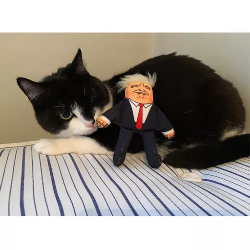 Donald Cat Toy | Turnaround Gifts