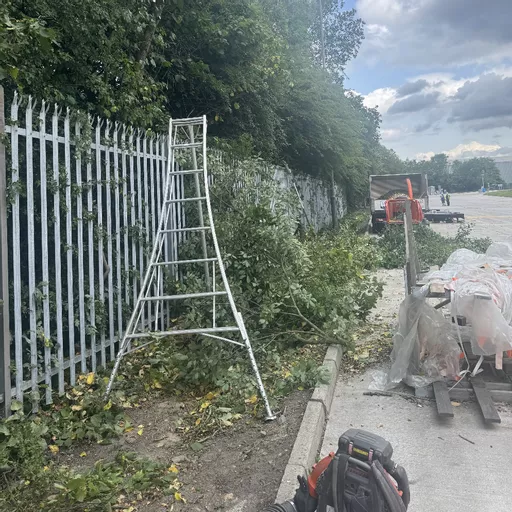 Trusted Tree Surgeon in Cheshire | JEC Tree Services Limited