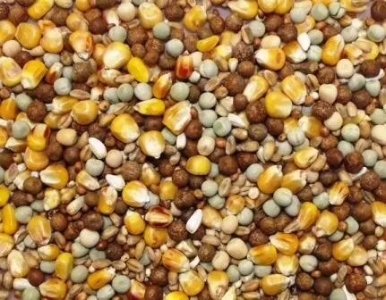 All Rounder Pigeon Food (20kg)