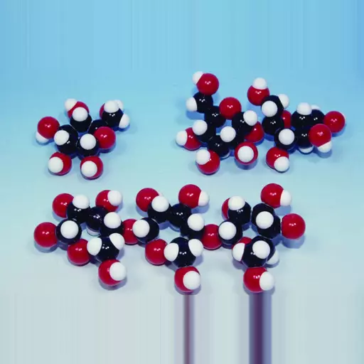 MOLYMOD 8 MDEOL AMINO ACID PEPTIDE MODEL