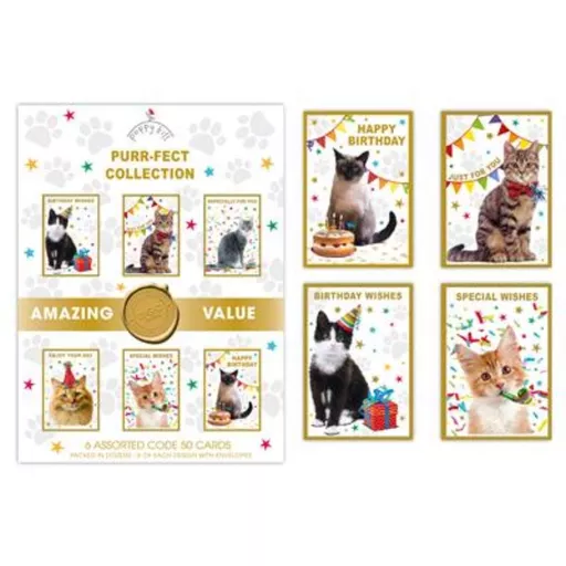 72pk (6x12) Assorted Cards C50 Birthday