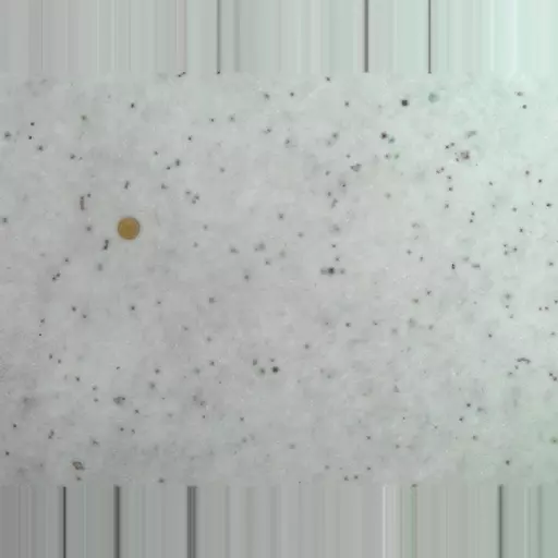 MICROSCOPE SLIDE - POLLEN GRAINS