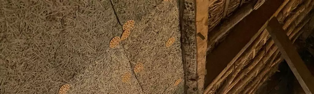 Laths, Woodwool Boards, Bricks, Hessian & Mesh | Lime Stuff