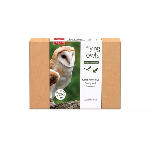 Collectable Model Flying Owls Set | Starbeck Education