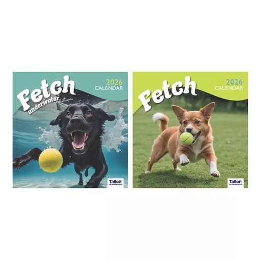 Calendar Square Fetch