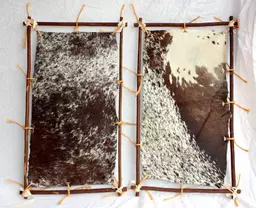 Animal Skin in Frame