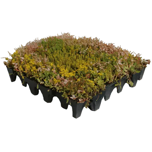 GrufeKit Sedum & Wildflower Roof Tile (540mm x 540mm)