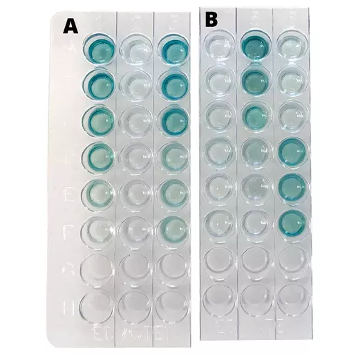 Quantitative ELISA