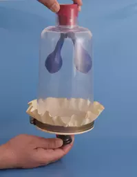 Lung function Model