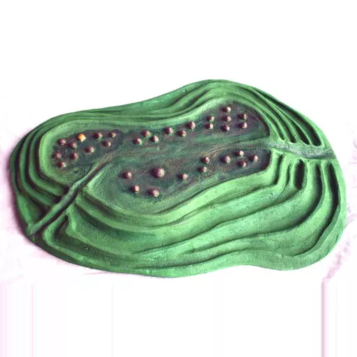 Large Hill Fort 3D Model | Starbeck Education