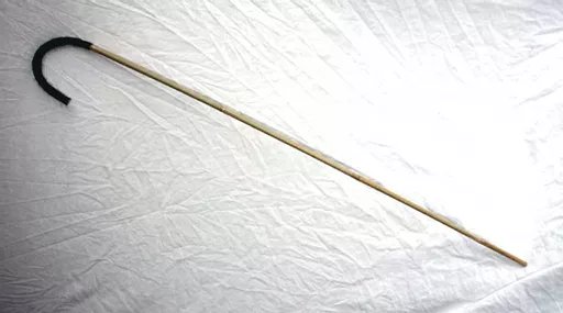 Victorian School Cane | Starbeck Education