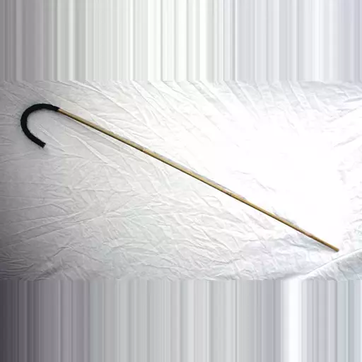 Victorian School Cane