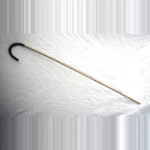 Victorian School Cane | Starbeck Education