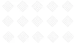QUADRAT 25 SQUARES
