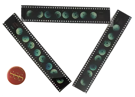 Microslide, The Ultra Structure of Animal Cell