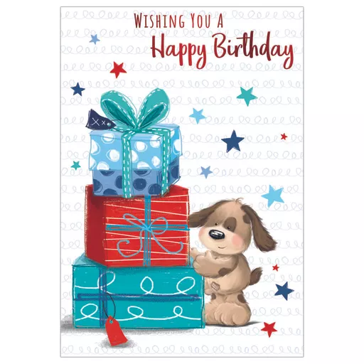 Kingsley 6 Pack Cards C50 Birthday Open