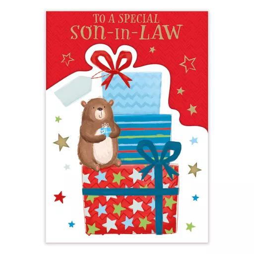 Prelude 6 Pack Cards C90 Everyday Birthday Son-In-Law Cute Bear With ...
