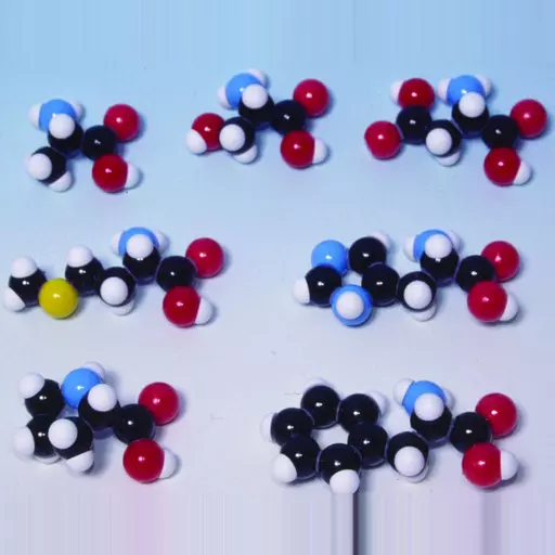 MOLYMOD 7 AMINO ACID MODELS COLLECTION SET