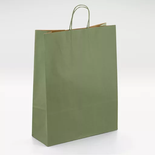 Natural kraft green twist handles bag