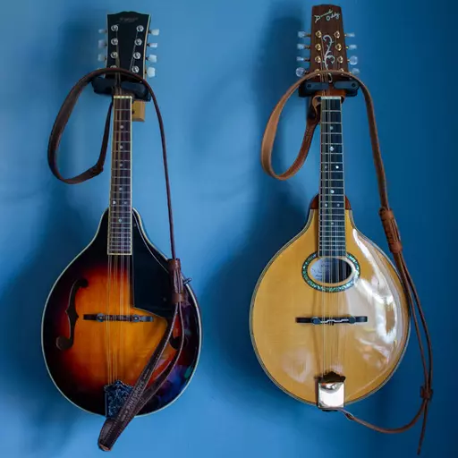New Mandolin Straps for 2020