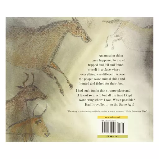 Stone Age Boy Book