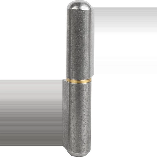 Weldable Hinge. Steel. 28.5x200mm. 23mm Diameter. Brass Componant..