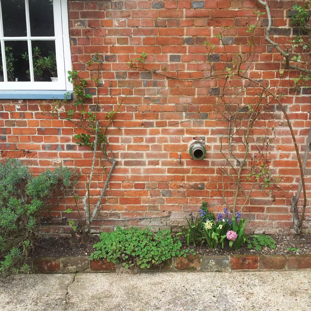 Lime Pointing | Lime Stuff