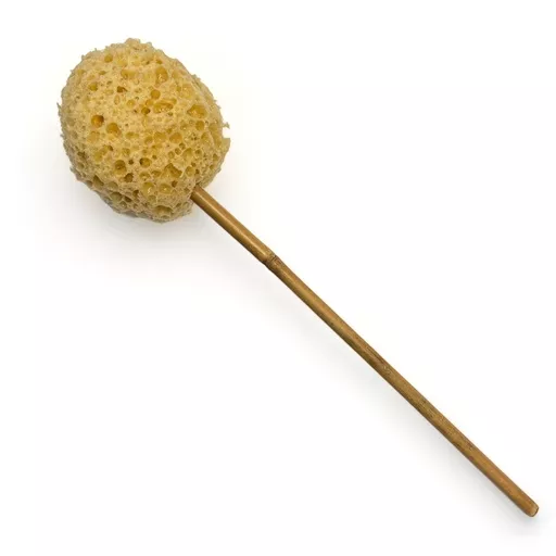 Sponge on Stick | Starbeck Education