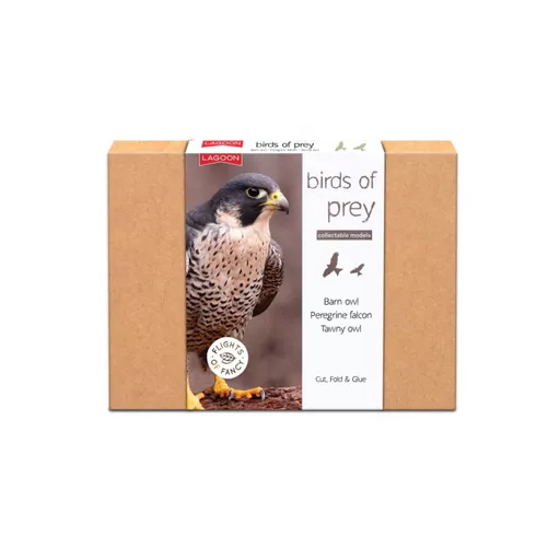 Collectable Model Birds of Prey Set | Starbeck Education