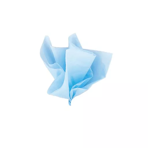 Baby Blue Tissue Paper Sheets 10pk