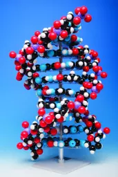 MOLYMOD DNA-10-LAYER