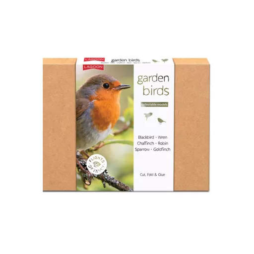 Collectable Model Garden Birds Set | Starbeck Education