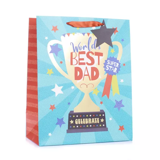 Tiger Feet 6 Pack Gift Bag Worlds Best Dad Medium