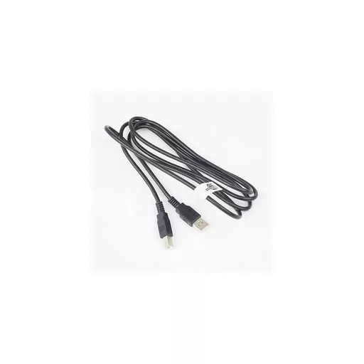 SMART Technologies USB Cable A-B 6ft (93-00143-20)