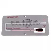 Traditional Thermometer