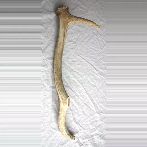 Antler Pick | Starbeck Education