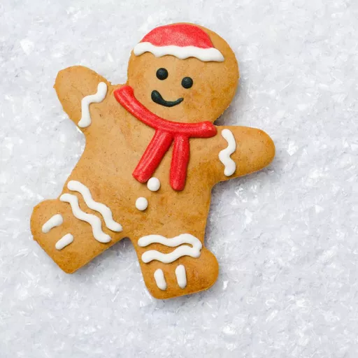 Delicious Gingerbread Man Cookies Using the Andrew Jame