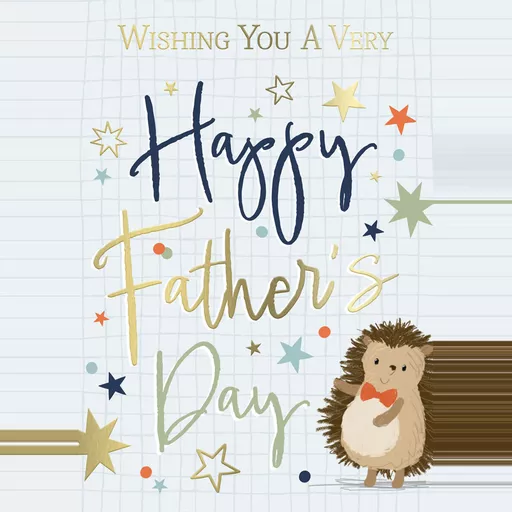 Kingsley 6 Pack Cards C50 Father's Day Open Cute